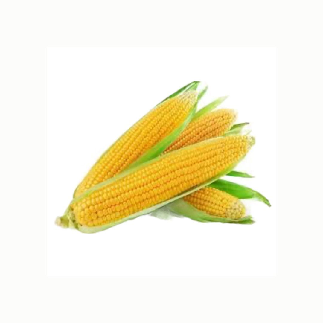 Organic Sweet Corn Online in Hyderabad Pracheena Organics